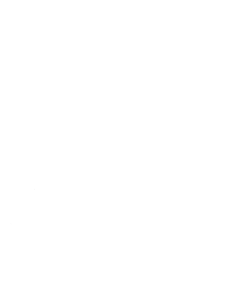 Customize Your Zena BCD - Zeagle